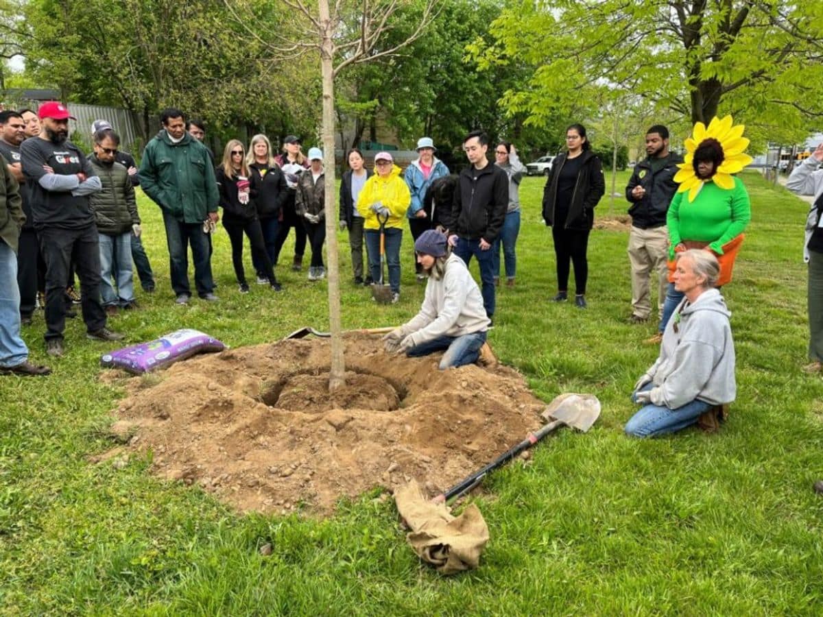 Making an Impact: The Vital Role of Conservation Non-Profits in ...