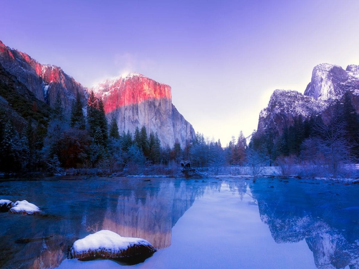 Healing Chronic Tension Headaches: Forest Relaxation