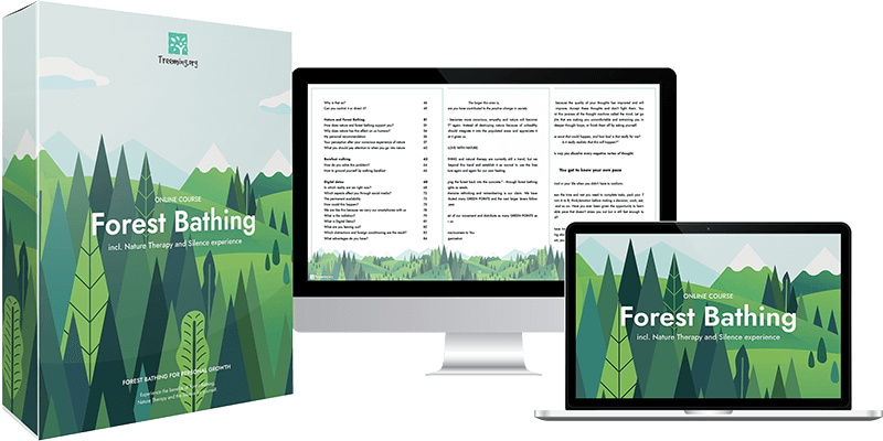 Professional Forest Bathing Instructor Training | Treeming.org