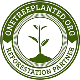 The Devastating Effects of Deforestation on the Environment