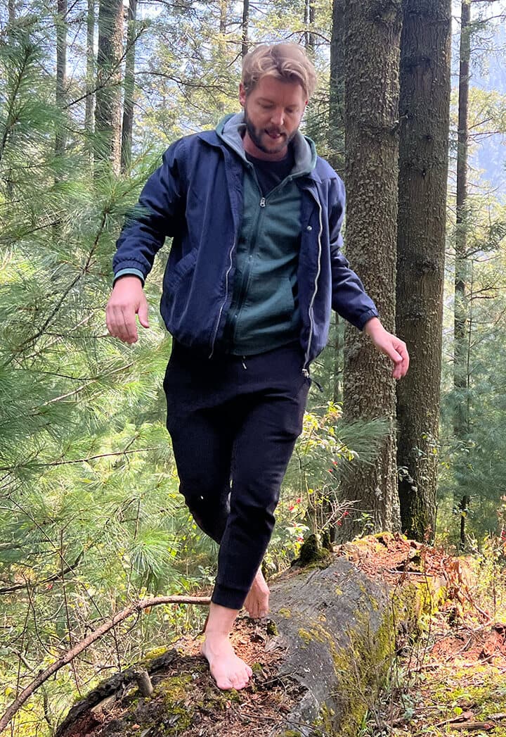 Professional Forest Bathing Instructor Training | Treeming.org