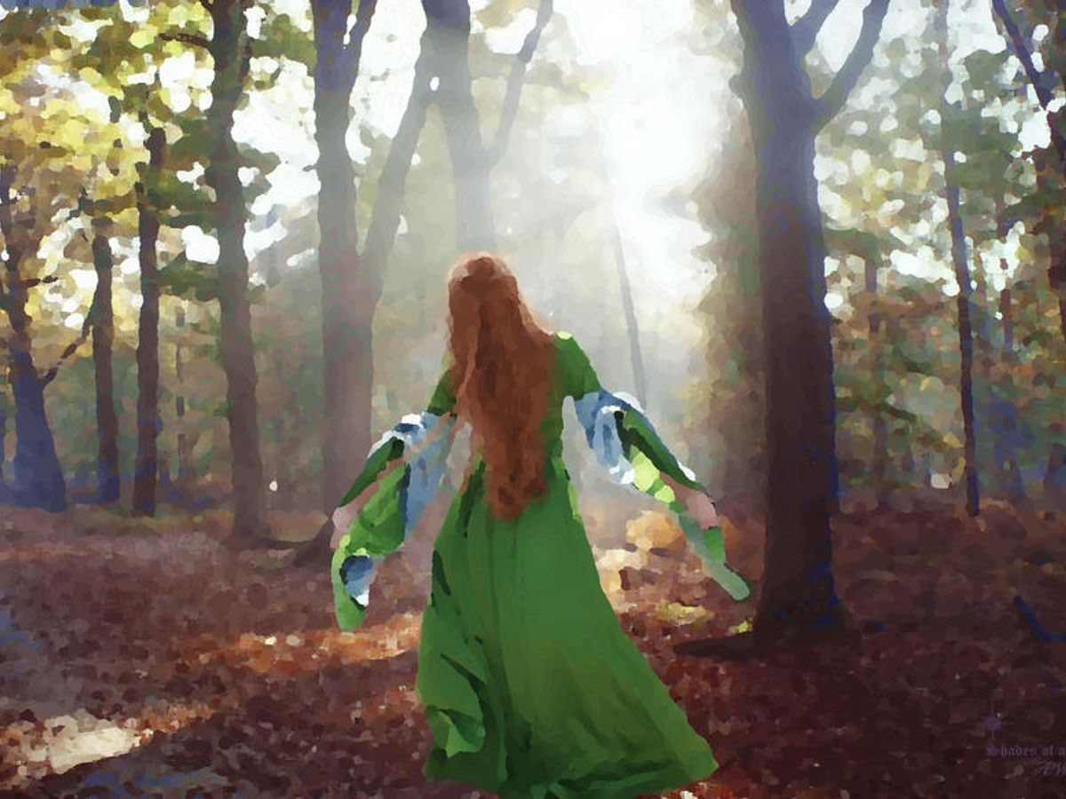 Forest Myths: Stories that Shaped Cultures