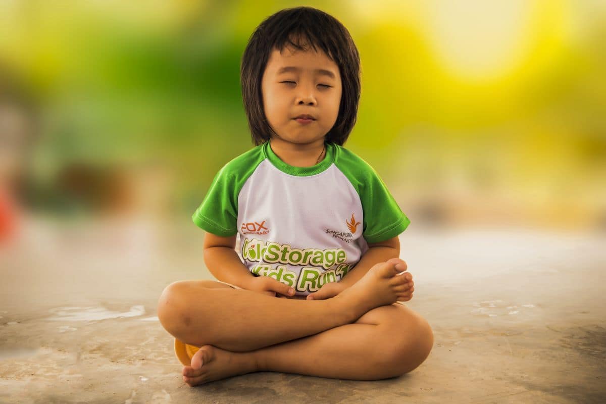 The Art of Silence: Integrating Silence Therapy into Forest Bathing ...