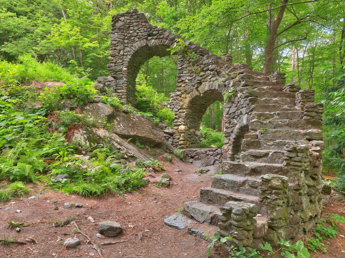 Echoes of the Past: Ancient Forest Civilizations